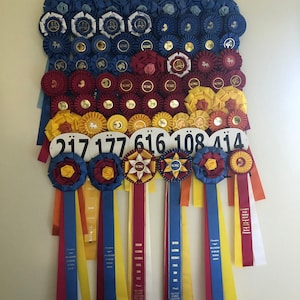 HIGH CAPACITY Horse Ribbon Display Holder Equestrian Horse - Etsy