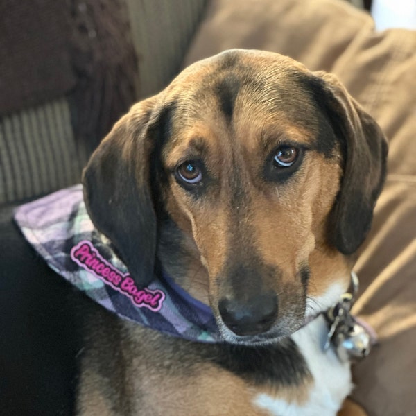 MEN'S UNDERBUST CORSET Pattern // Pdf Sewing Pattern for Men // Eu Size ...