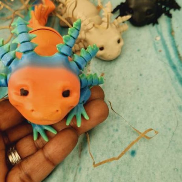 3dprinted Articulated Adorable Axolotl | Sensory Stress Fidget | as ...