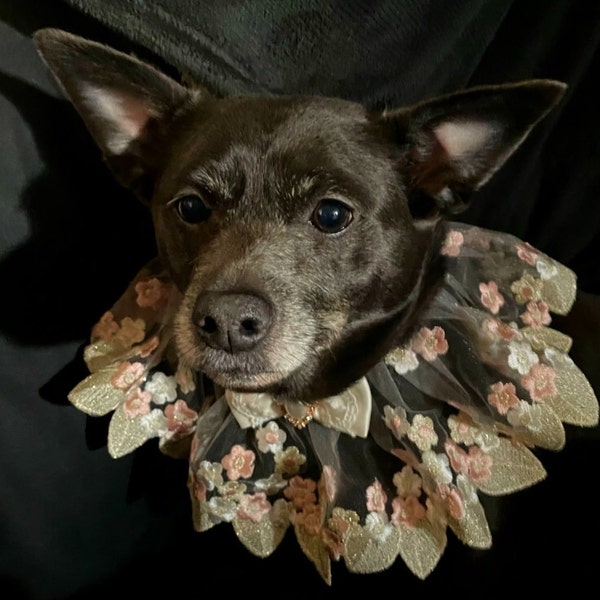 Beautiful Handmade Collar, Pet Party, Wedding Lace Collar, Pet Jewelry ...