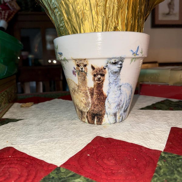 Beach Flowerpot, Port Gifts, Ocean Flower Pot, Beach Flower Pot ...