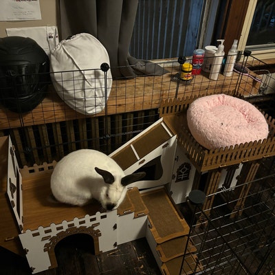 Bunny Castle With Twin Closed Towers, Oak Black Rabbit Palace With Two ...