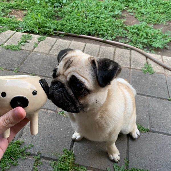 Pug Planter, Dog Plant Pot, Succulent Pot, Ceramic Pug Pot - Etsy