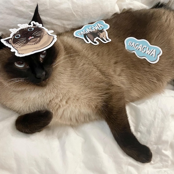 Merv the Cat Vinyl Sticker 2-pack / Mervthecat / Cat Sticker / Funny ...