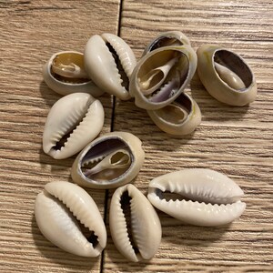 Cowrie Shell Flower Necklace Hemp Choker Beach Jewelry | Etsy