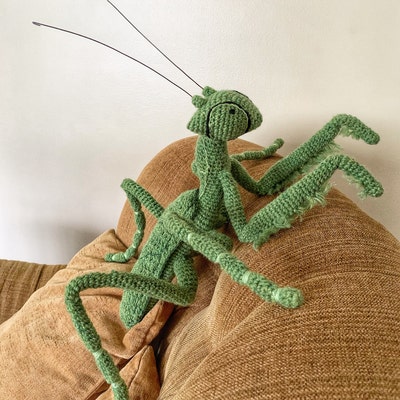 Praying Mantis Crochet Pattern - Etsy