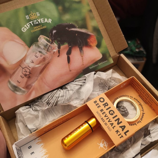 The Original Bee Revival Kit - Gold Edition - Etsy