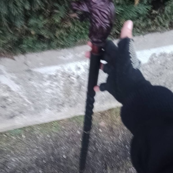 Hand Carved New Raven Skull Walking Cane, Trekking Companion Cane ...