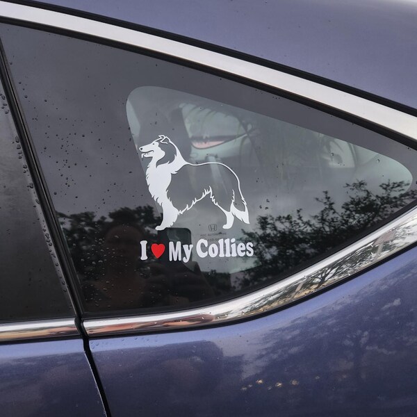 Axolotl Decal Never Grow Up, Forever Young, Amphibian, Salamander, Cute ...