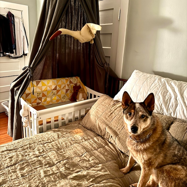 Floor Bed Canopy, Montessori Canopy, Boho Bed Canopy, Toddler Bed ...