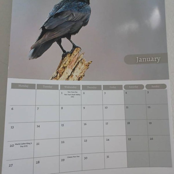 Cavapoo Calendar 2025: Monthly Wall Calendar With Notes, Opens to A3 ...