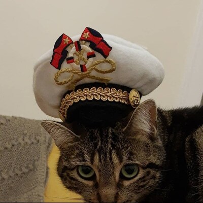 Captain Hat for Dog or Cat Small Animal Doll /halloween Pet Hat ...