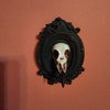 Framed Magpie Skull, 3D Gothic Wall Art, Halloween Home Decor - Etsy