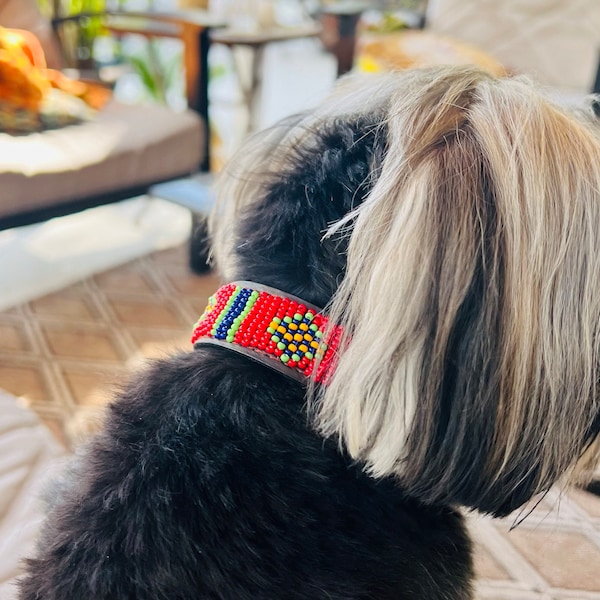 African Beaded Leather Dog Collar, Maasai Handmade Dog Collar ...
