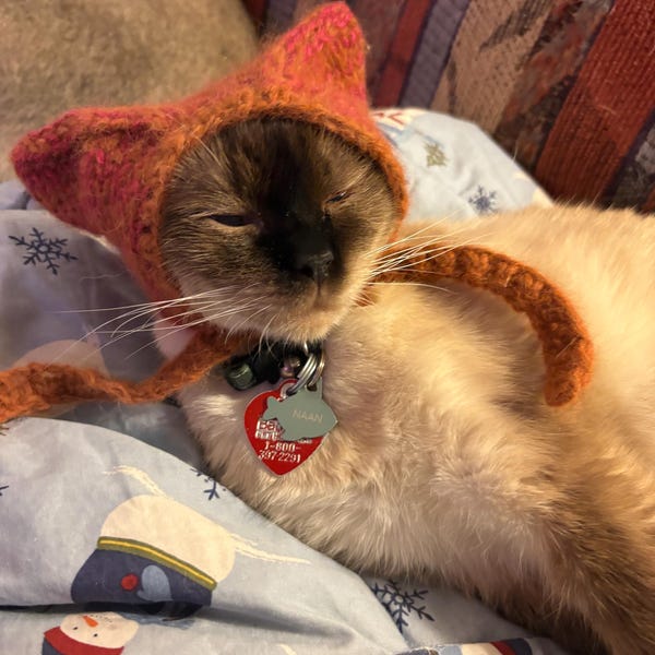 PATTERN Matching Knitted Hats for You and Your Cat - Etsy