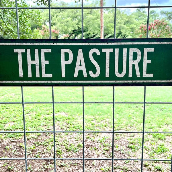 Game Warden Sign, Park Ranger Street Sign, Office Decor, Retirement ...