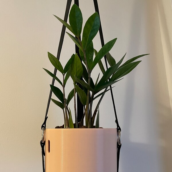 LECA Pots Self Watering Planter for Houseplants 5.5 Inch 3-pack ...