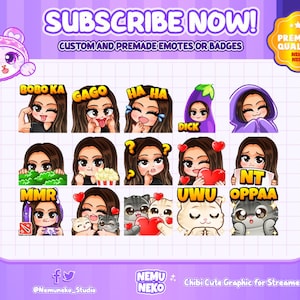 Custom Cute Stream Overlay Package / Twitch Overlay Commissions / Custom Stream Package - Etsy