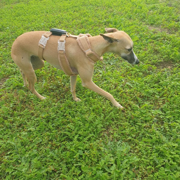 FLUFF || Fluffy Lining / Colour Change - Etsy