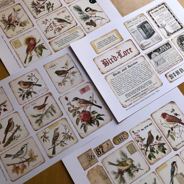 Shabby Bird Journal Kit Printable Ephemera Bird Cards for Junk Journals ...