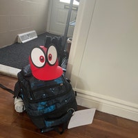 DIY 3D Paper Cells Models, 3D Paper Animal Cell, Paper Plant Cell ...