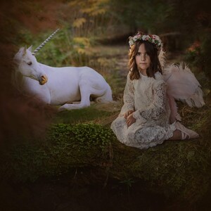 MIT Circus Podium Step Digital Overlay - Etsy