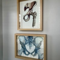 Blue Spine Print Series of 3 Anatomy Art Set 3 Watercolor Prints - Etsy