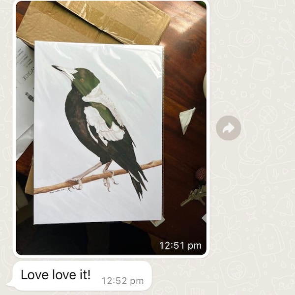 Watercolour Australian Magpie Print - Native Australian Bird Art - Etsy ...