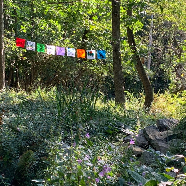 Calligraphic Corvid Head Prayer Flags - Bright Pastels - String of 10 ...