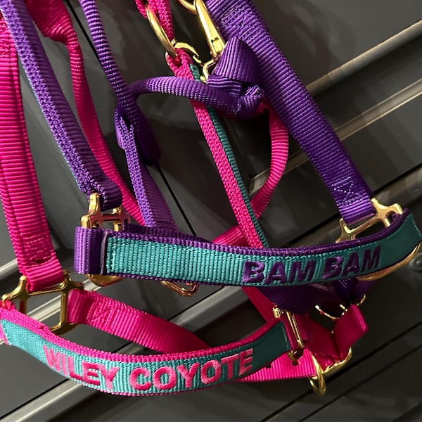 Personalized Nylon Sheep Halter - Etsy