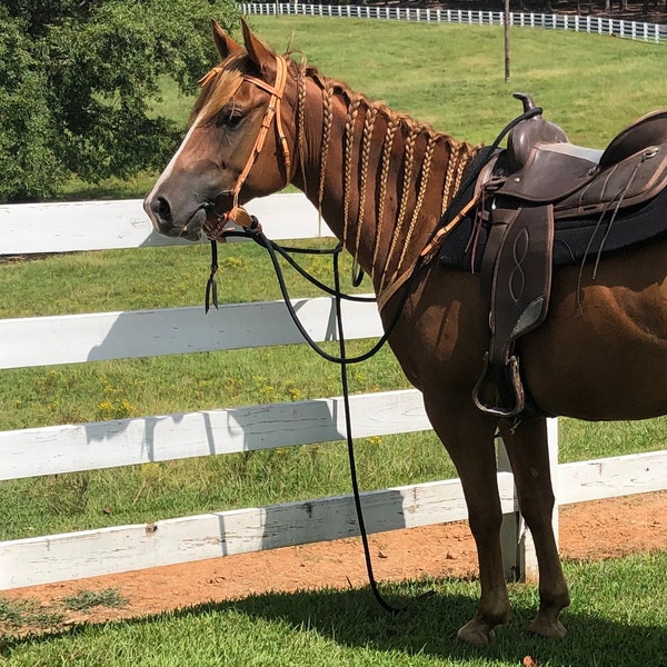 12' LEAD ROPE W/ Parelli Snap for Natural Horse Training - Etsy