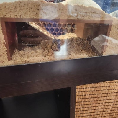 Aquarium Corner Cave Fish Tank Decoration, Axolotl Hide Underground ...