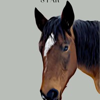 Horse Physical Assessment Form | Horse Bodywork | Equine Form | Horse ...