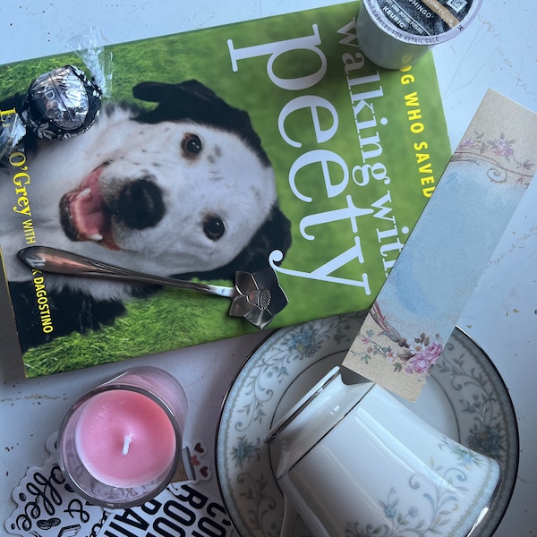 Deluxe Book Annotation Kit, You Choose Colour Set, Highlighter, Pen ...