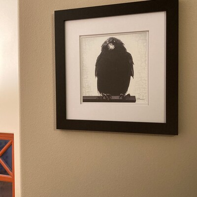 Raven Peace A Single Raven in the Top of a Tree Signed Fine - Etsy