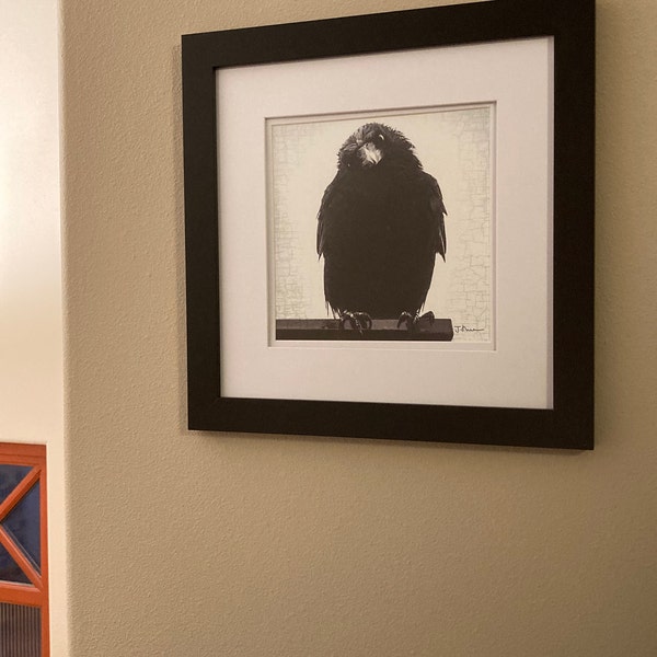 PHILOSOPHER CROW Signed Fine Art Photograph by June Hunter, Crow ...