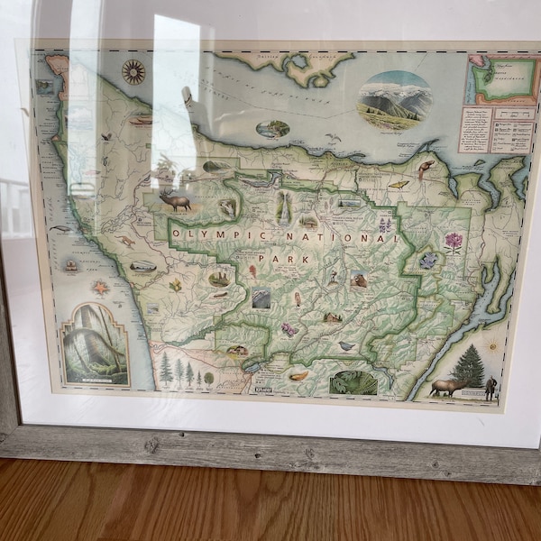 Finger Lakes Hand-drawn Map Poster Authentic 24x18-vintage-style ...