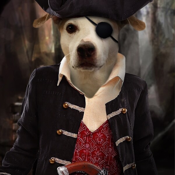 Custom Pet Pirate Portrait . Custom Pirate Portrait for Pet . Printable ...