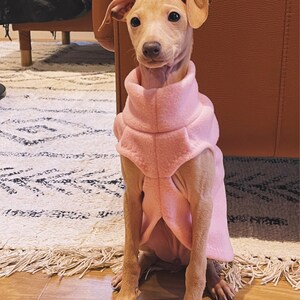 MADE TO ORDER Puppy Italian Greyhound Clothing Fleece Vest. - Etsy UK