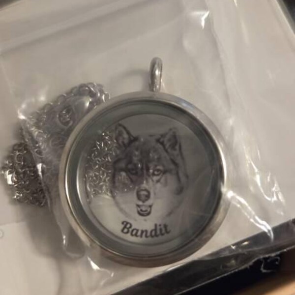 Personalized Keepsake Necklace • Pet Hair Keepsake • Memorial Gifts for ...