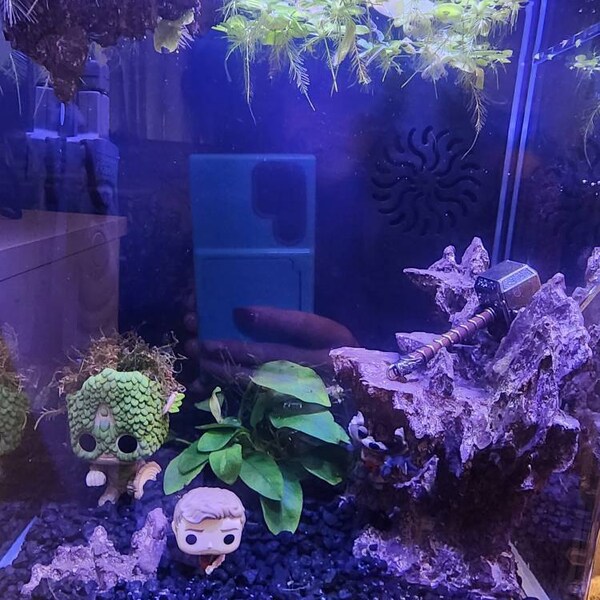 2-4 Gallon Nano Aquascape Decor SOUL CANYON Aquarium Dragon Rocks ...