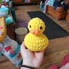 Quacken Crochet Pattern No-sew - Etsy