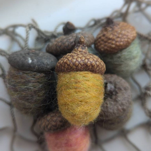 Felt Acorn Set (5) - Etsy