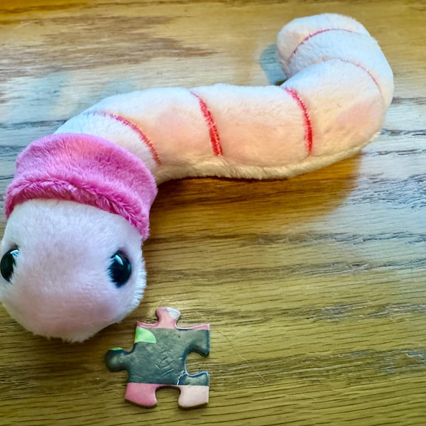 Worm Plush – Handmade Minky Earthworm Plushie, Colorful Custom Plush ...