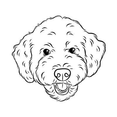 Digital Pet Outline SIMPLE Dog Cat Vector Line Out Drawing, Pet Sketch ...