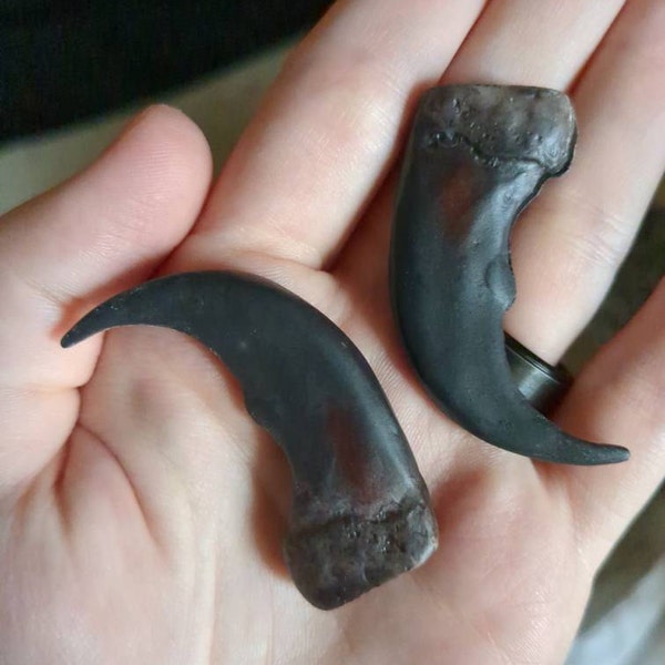 2 Eagle Talon Eagle Claws 2" Resin Replica Jewelry and Craft Supplies ...