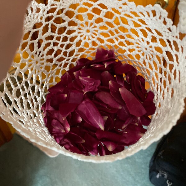 One Cup Petal Sample...choose YOUR Color! FREE USA Shipping! Wedding ...