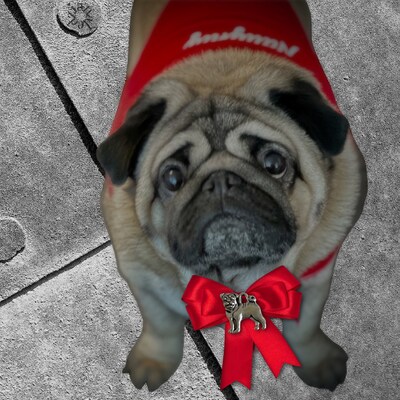 100, 500 or 1,000 Pack 4 Mm KC Light Gold Jump Rings, Bulk Jump Rings ...