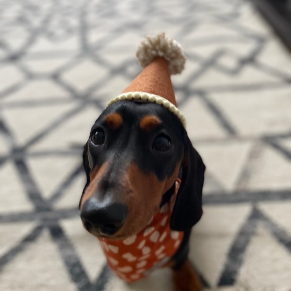 Rust Birthday Hat - Rust Party Hat - First Birthday - Birthday Party ...
