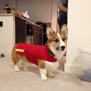 Corgi Rain Jacket | Etsy